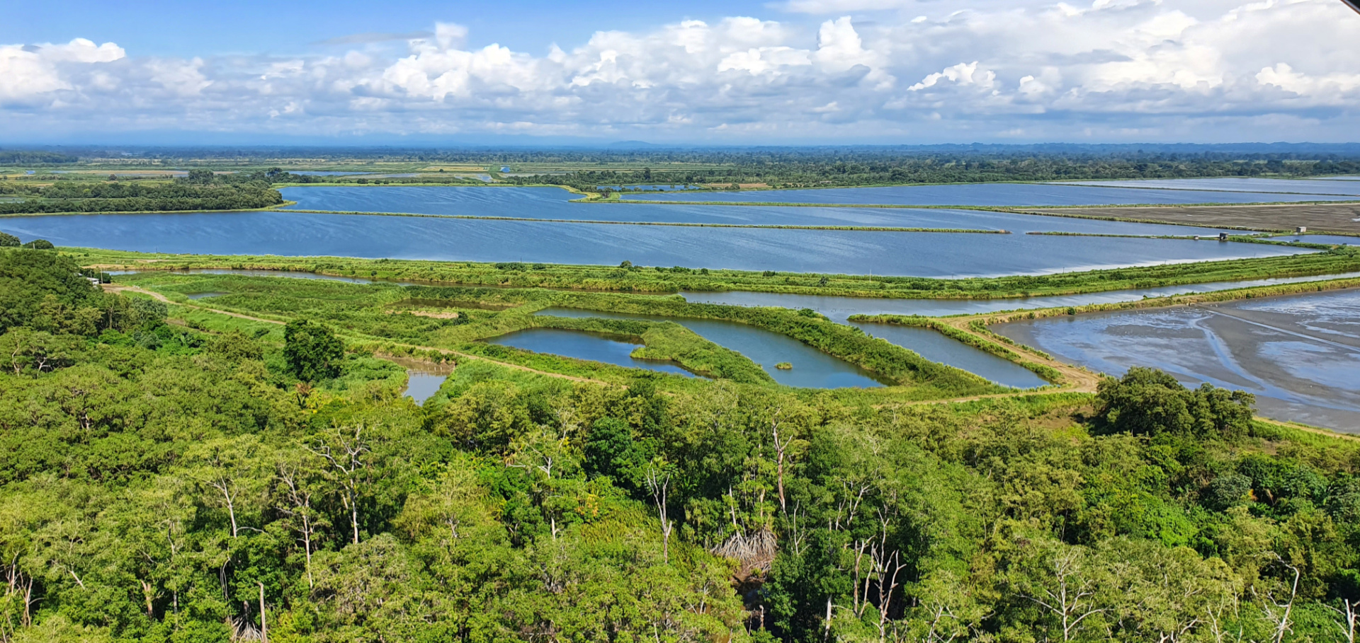Purchase of the Purocongo farm - JMI